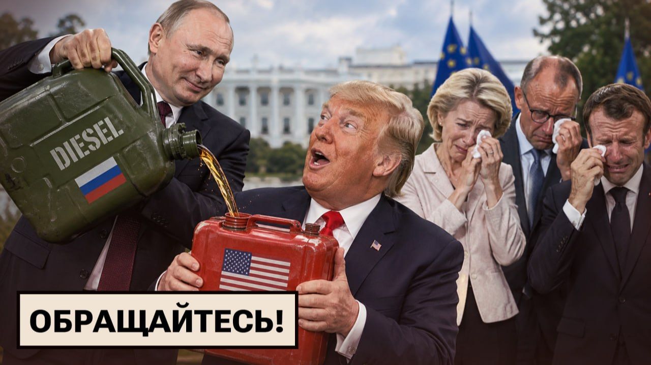 Новостной дайджест