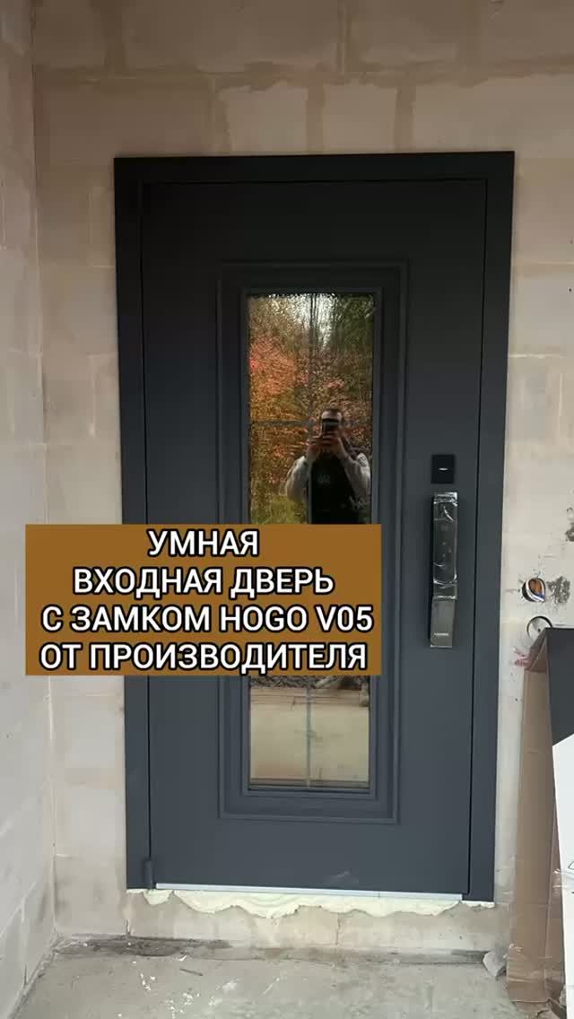 Электронные входные двери в дом