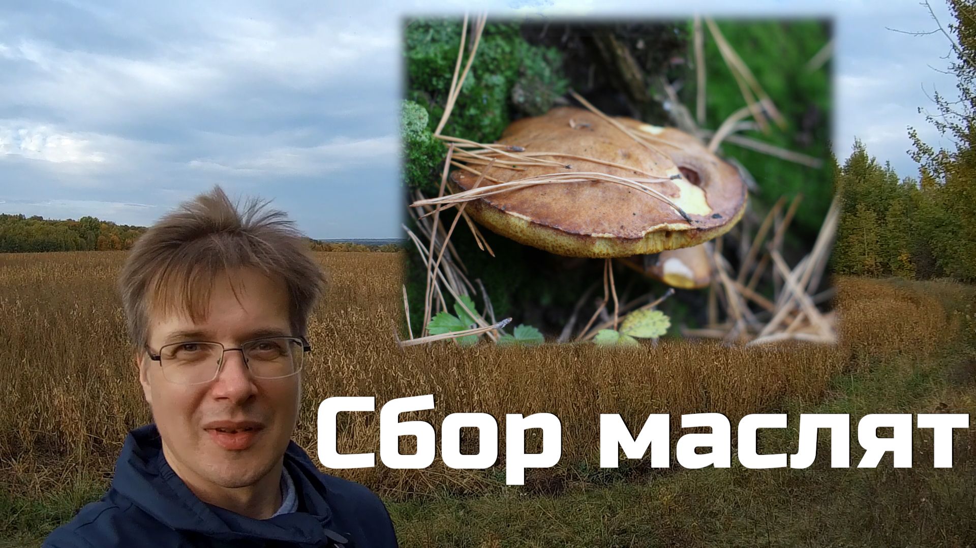 Грибы