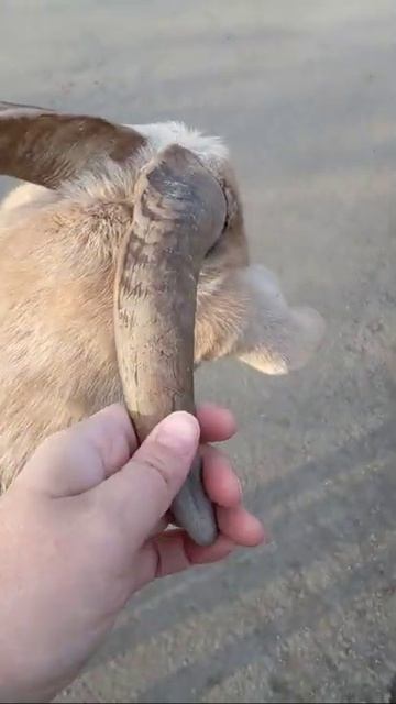 ЖИЗНЬ