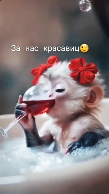 Прикольчики =)