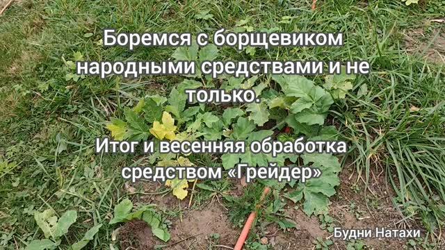 Наш сериал! Новый участок, облагораживаем!
Начало стройки!