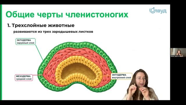 Биология