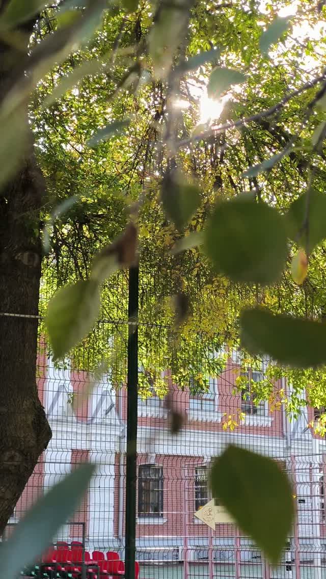 МедМол