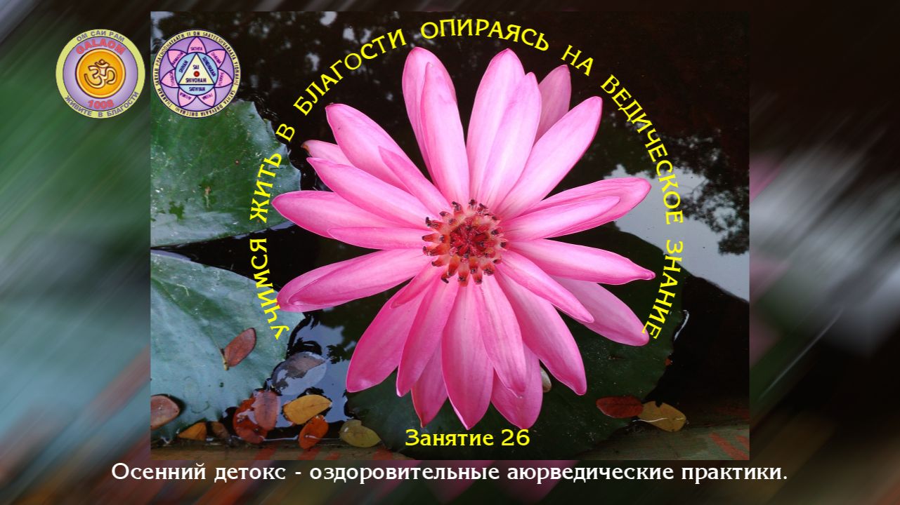 Учимся жить в Благости