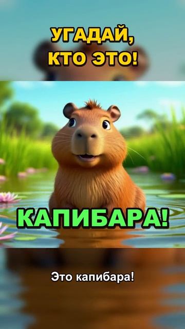 Угадай зверя — мультики-загадки