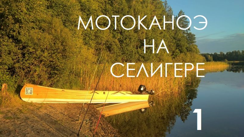Поездки, путешествия