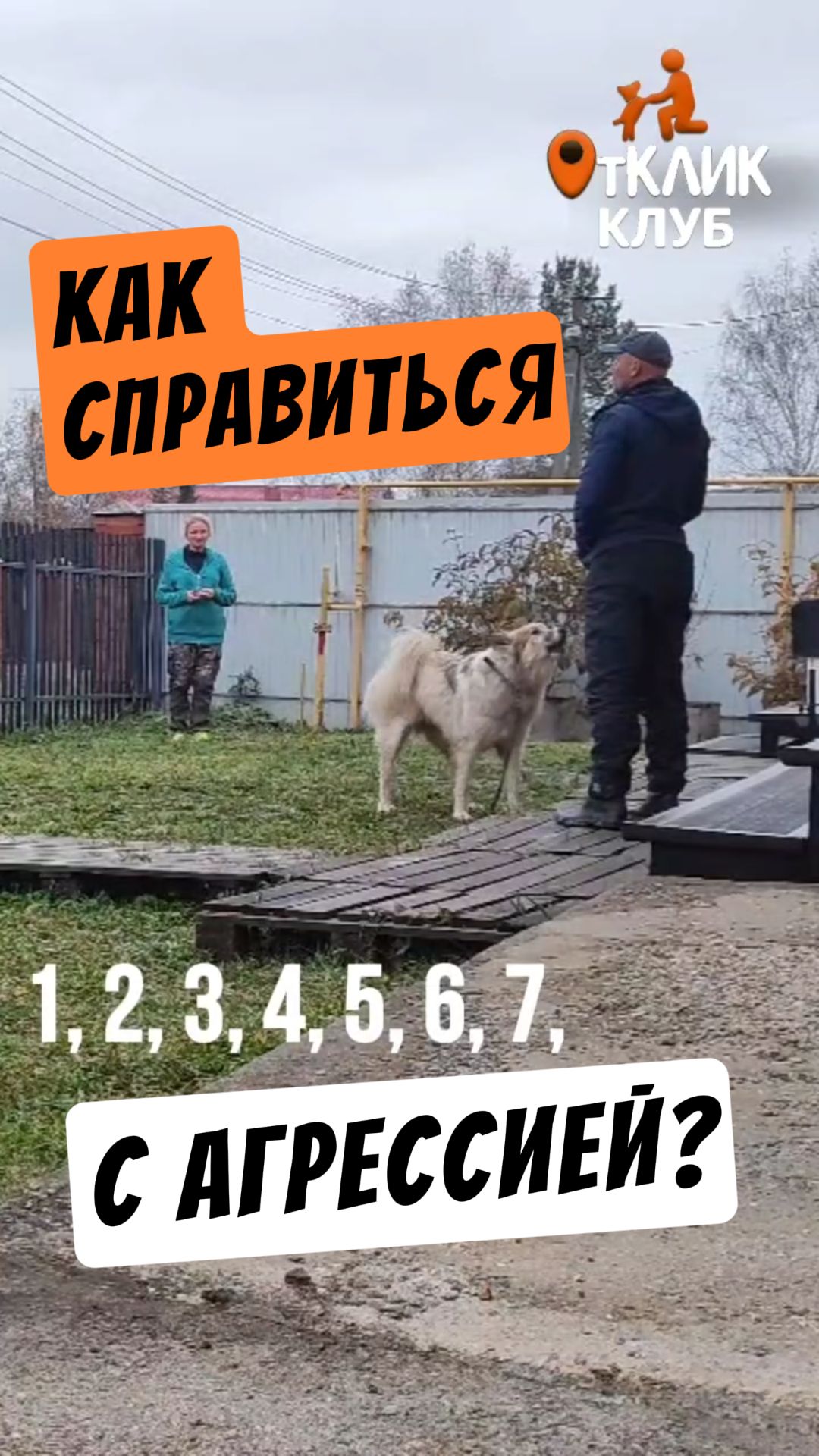 Практика кликер-обучения