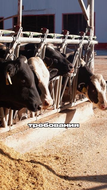 Геномная оценка племенной ценности