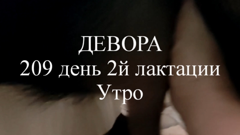 ДЕВОРА кн50 /2-я лактация/