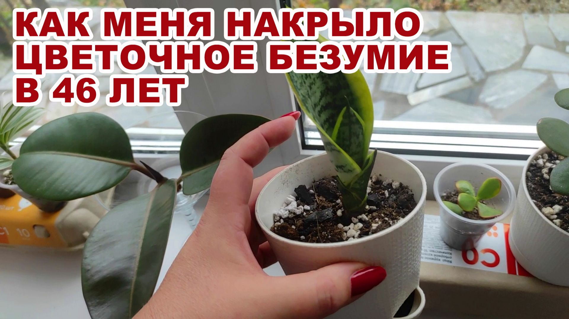 Барахолки, комиссионки