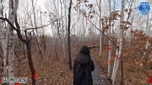 Путешествия и отдых