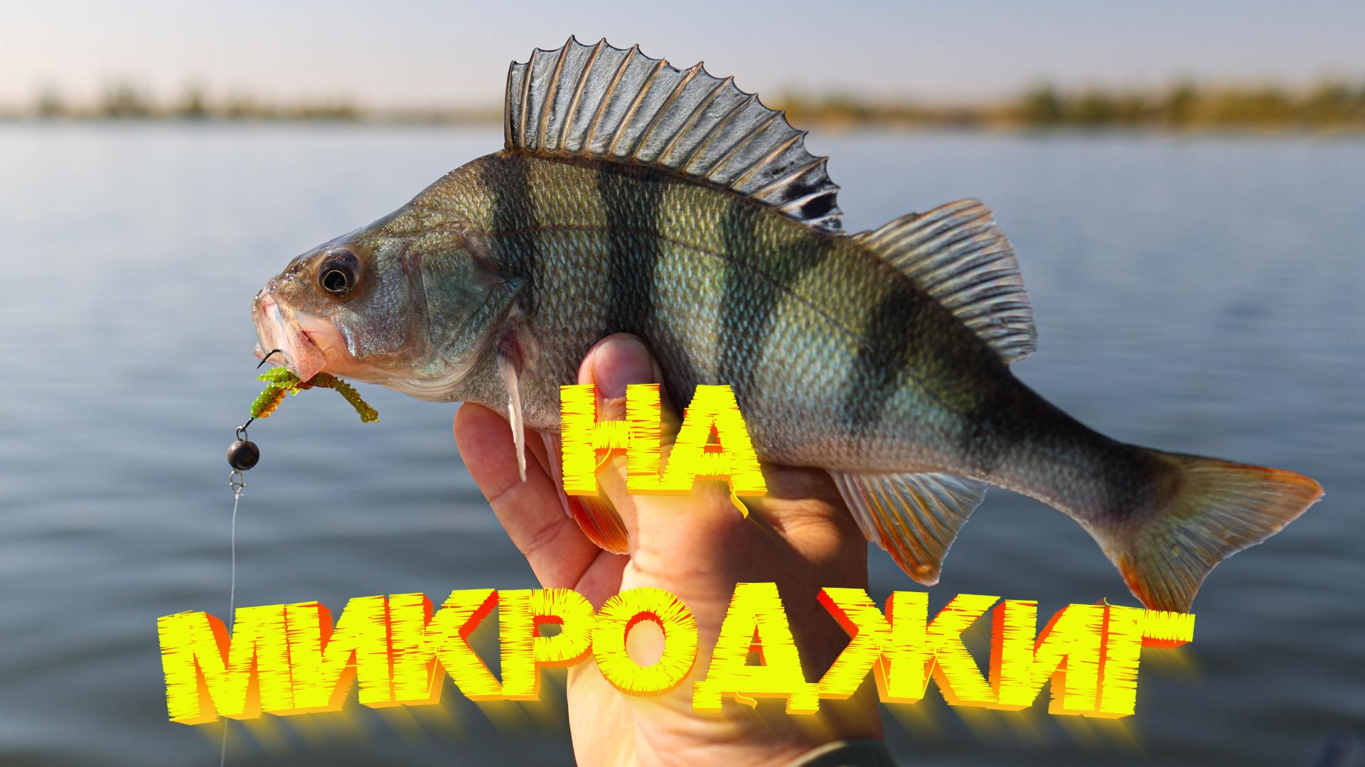 Микроджиг