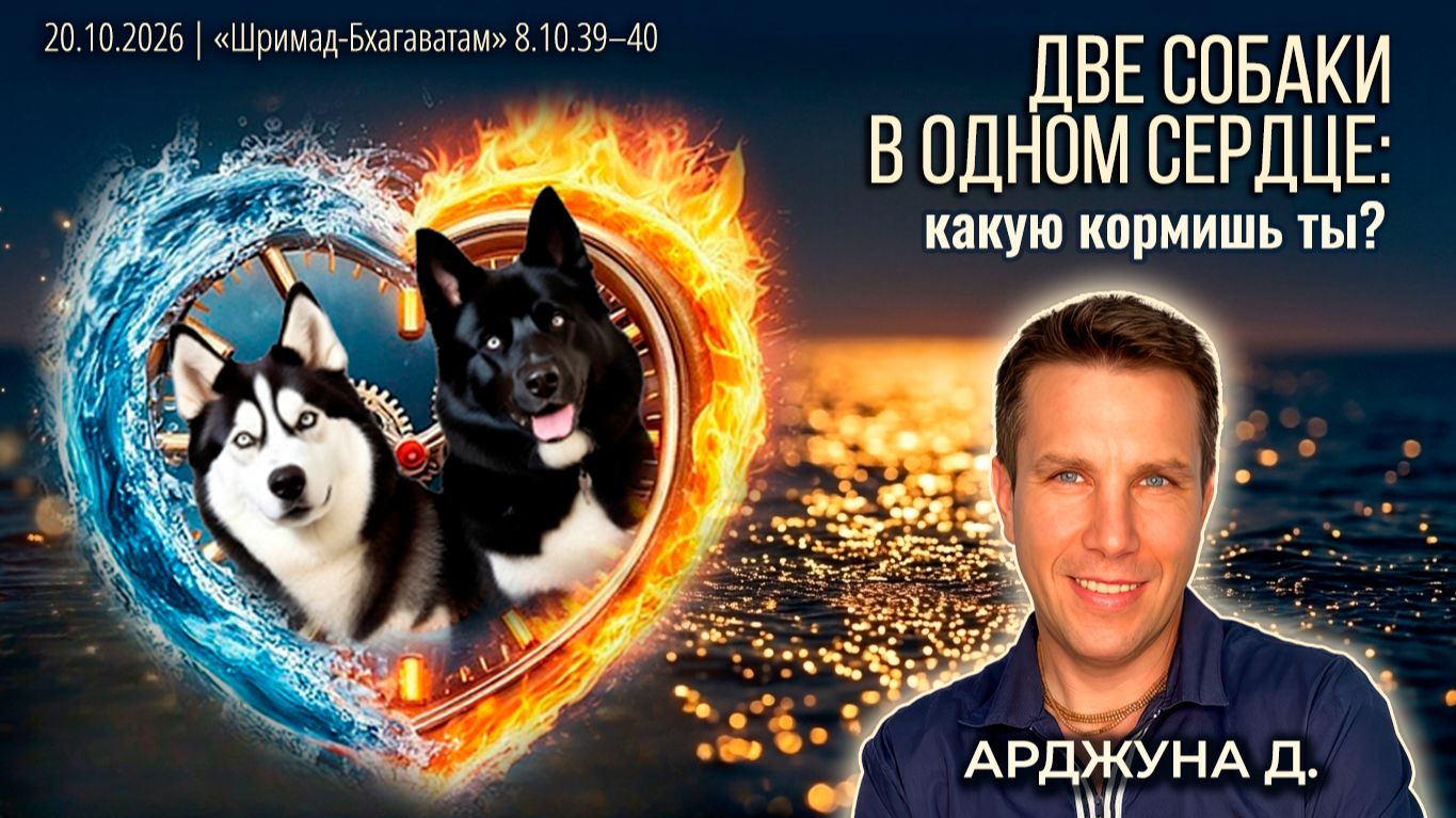 Арджуна дас. «Шримад-Бхагаватам» в Калининграде