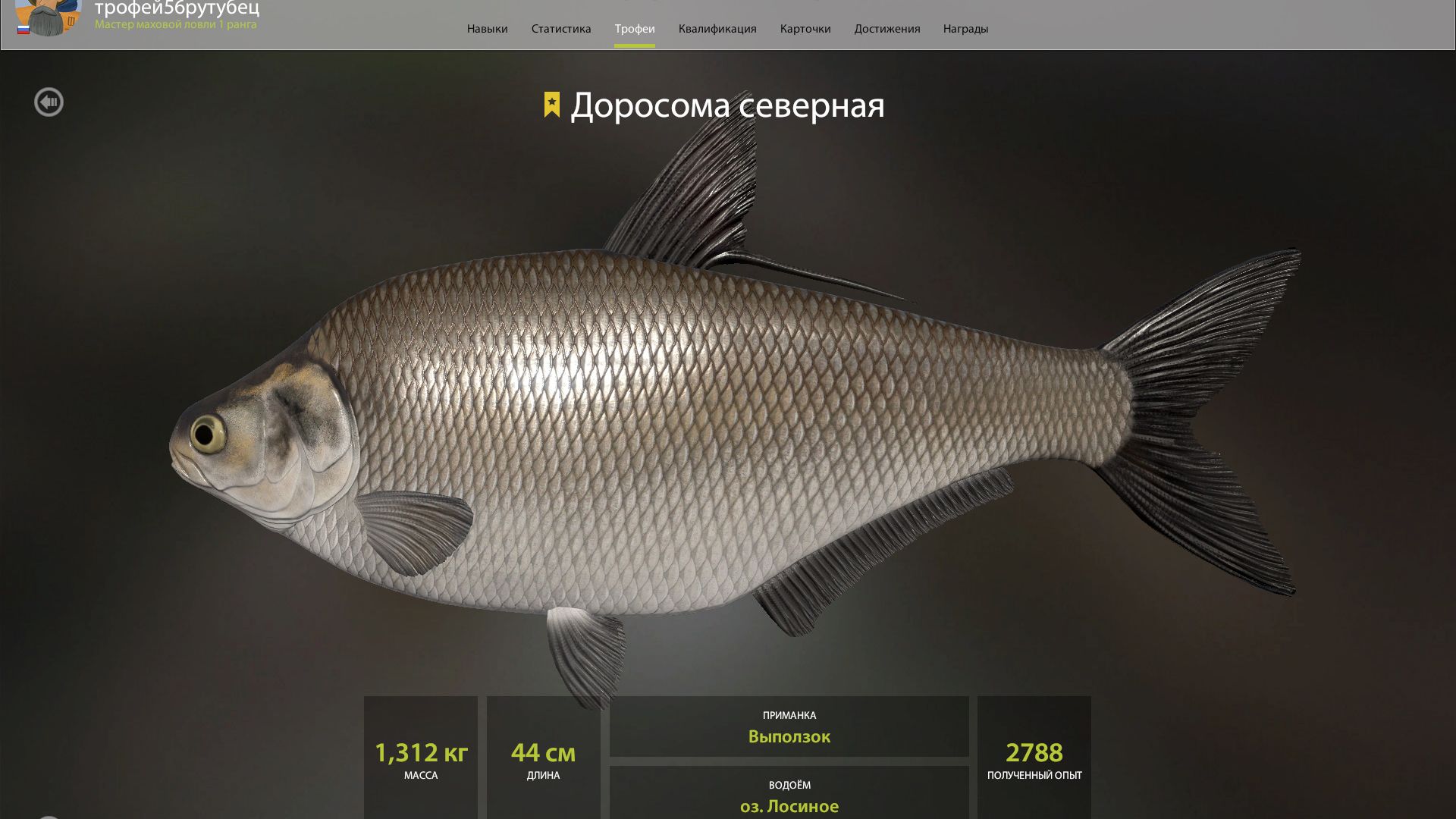 рр4 лосиное озеро трофеи