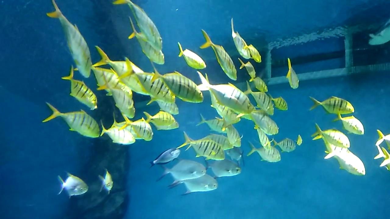 Калининград