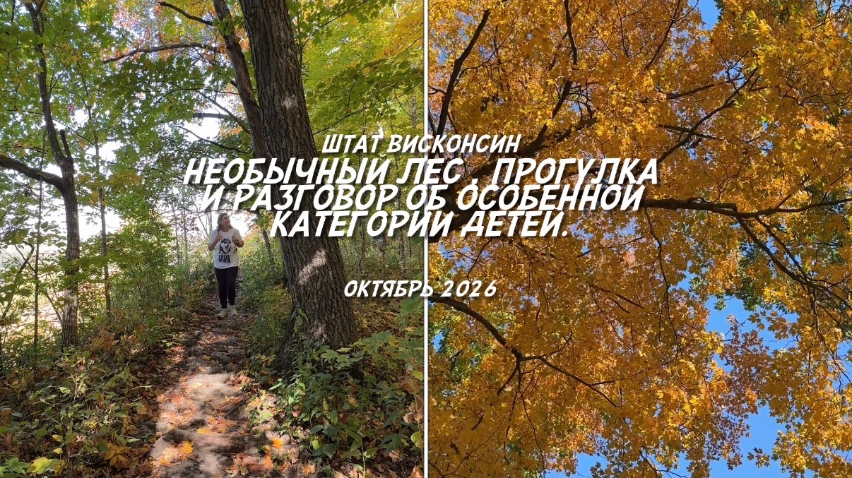 Образование особенных детей