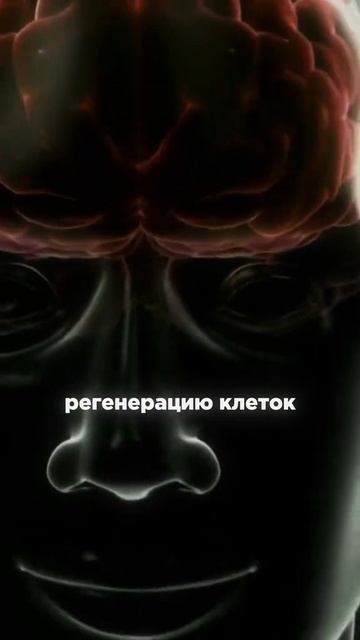 здоровье