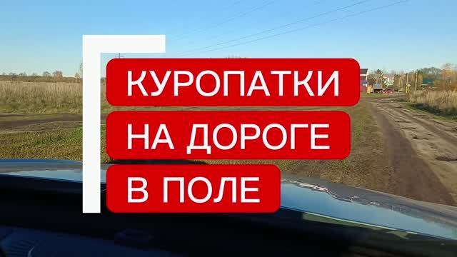 Отдых на воде, на охоте, в лесу за грибами