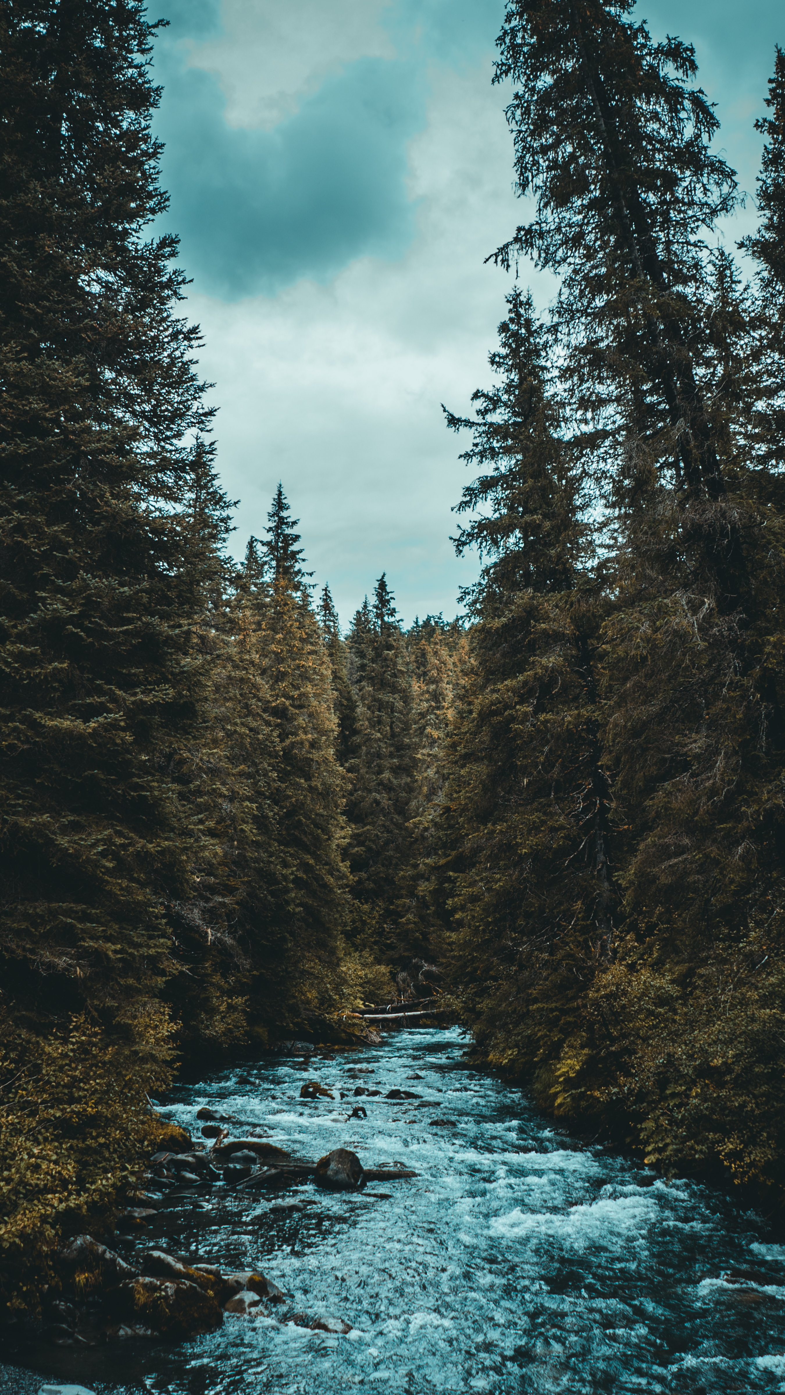 Номер2