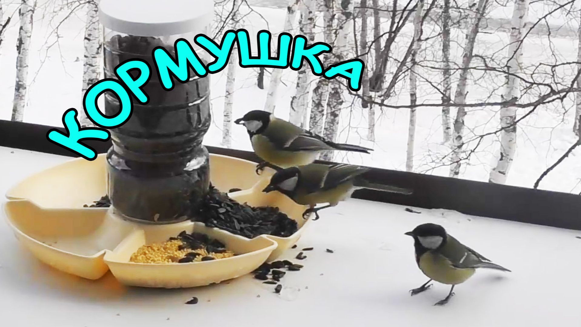 на БАМ-е
