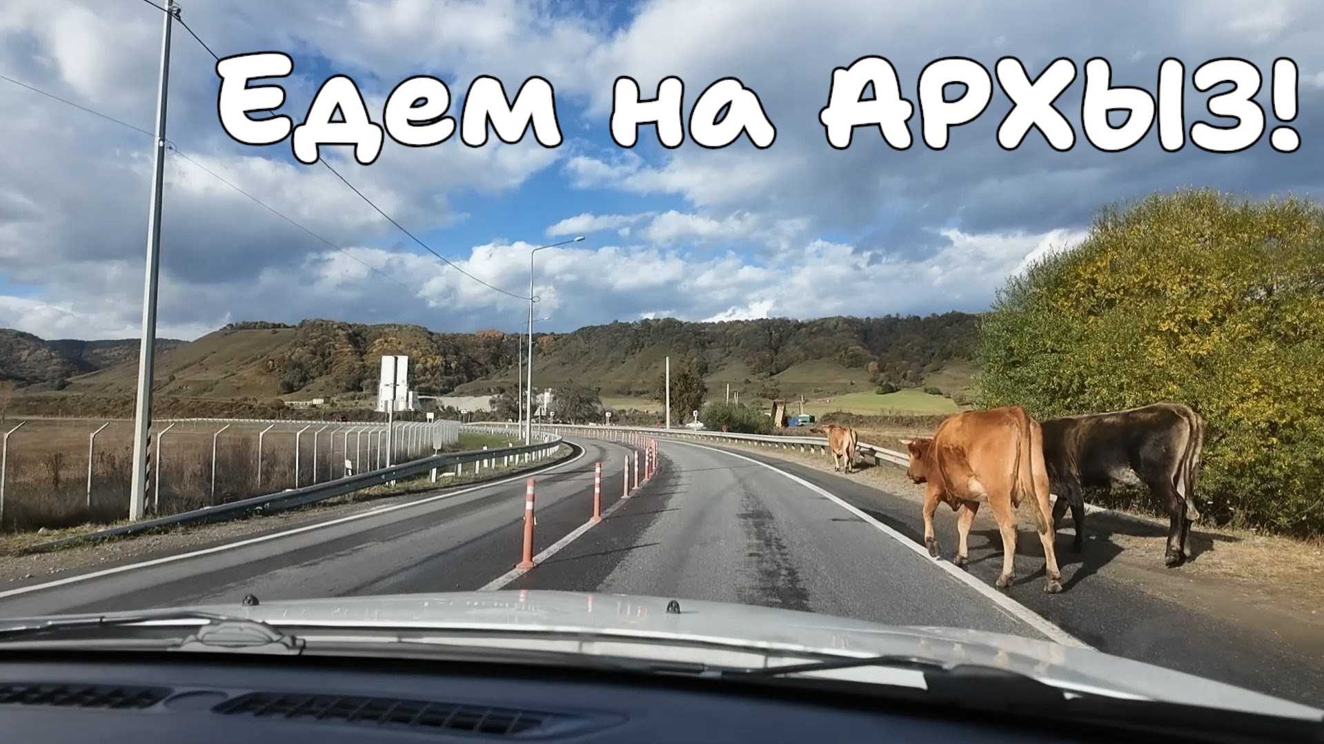 ВЛОГИ
