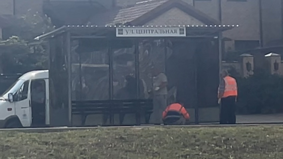 Морская Горгиппия