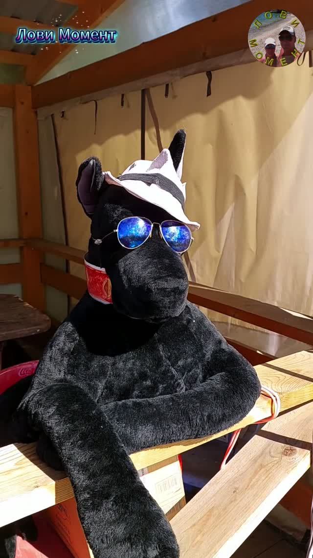 Карелия