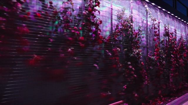 Реализованные объекты