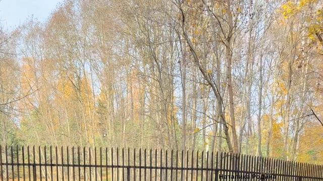 Песни Наталики Родиной