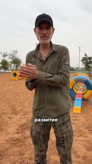 Тянет поводок. Проблемы на прогулке