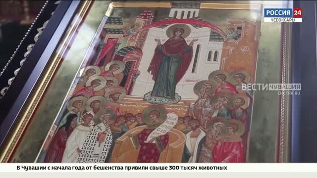 Репортажи