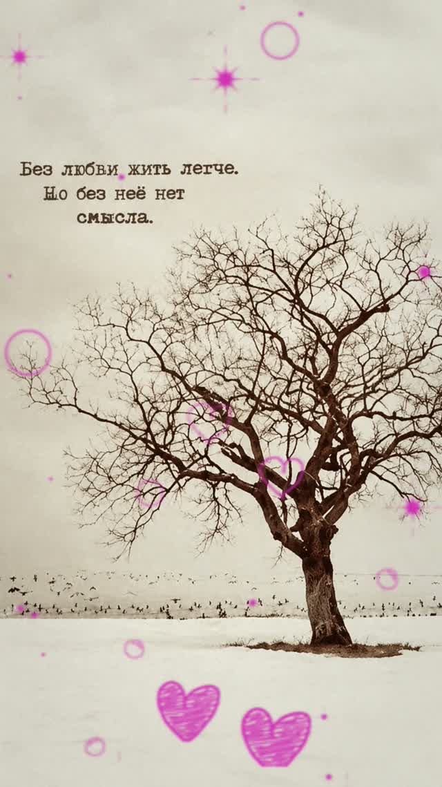 Цитаты