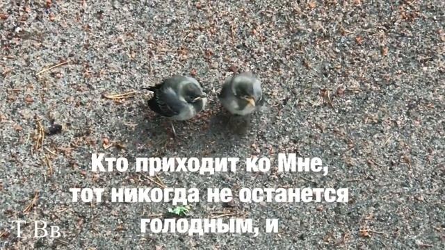 Вдохновение на каждый день 🙂