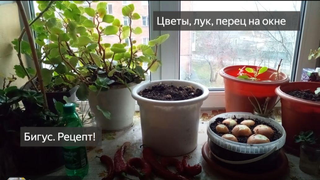 Огород. Дача. Урожай. 10 соток