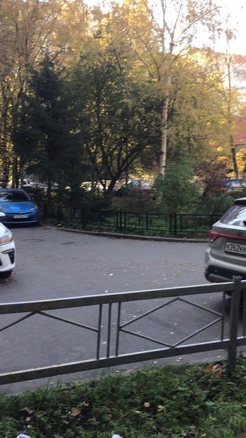 Путешествия