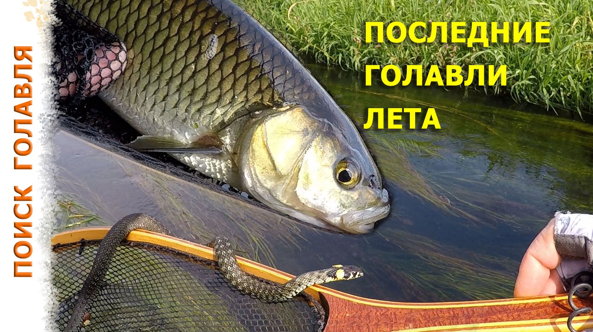 Рыболовные выезды