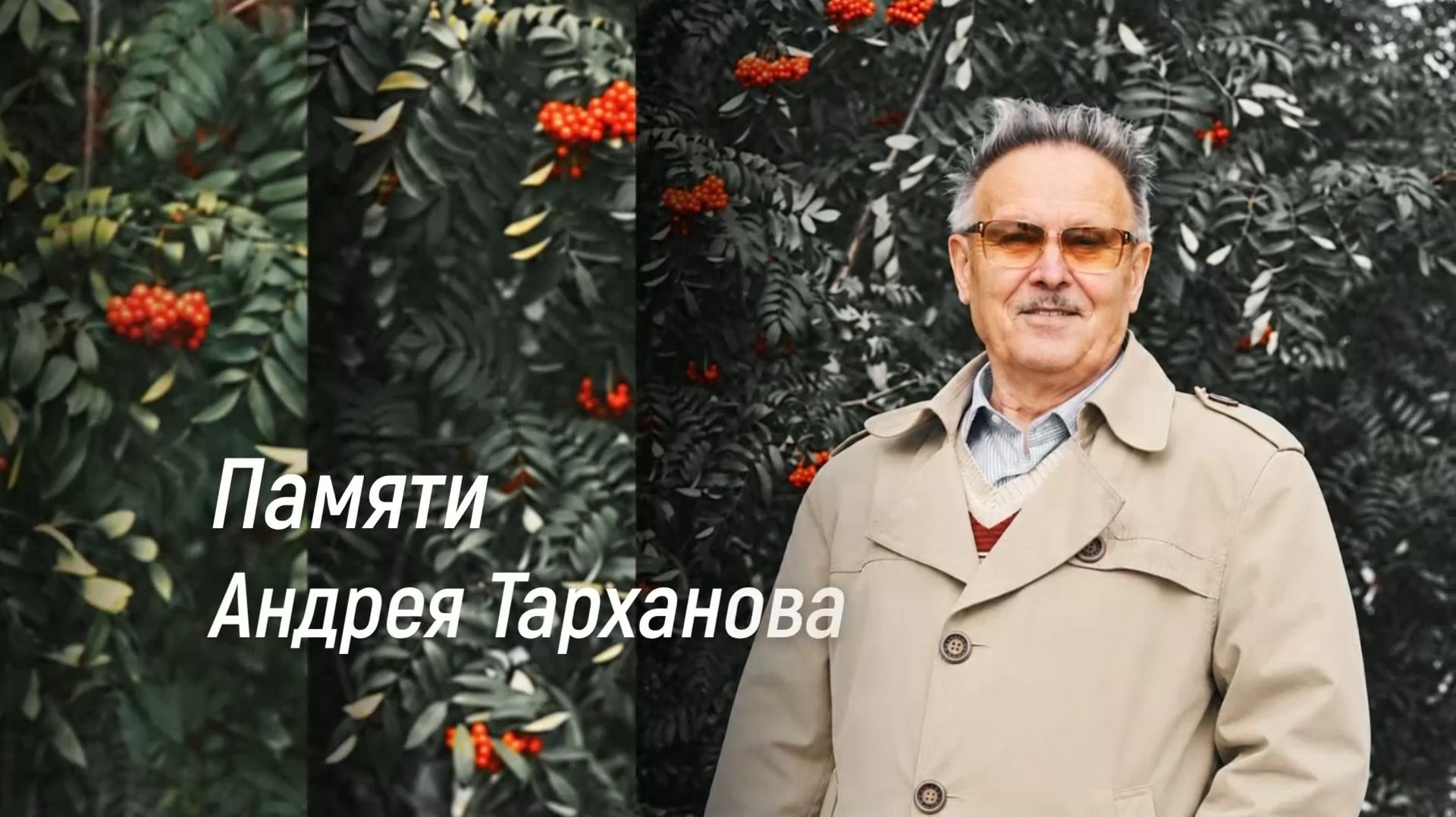 Ролики