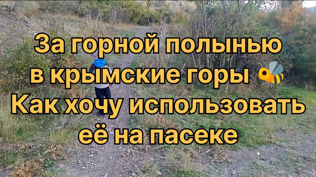 Пчёлы 🐝 южного берега Крыма и их продукты.