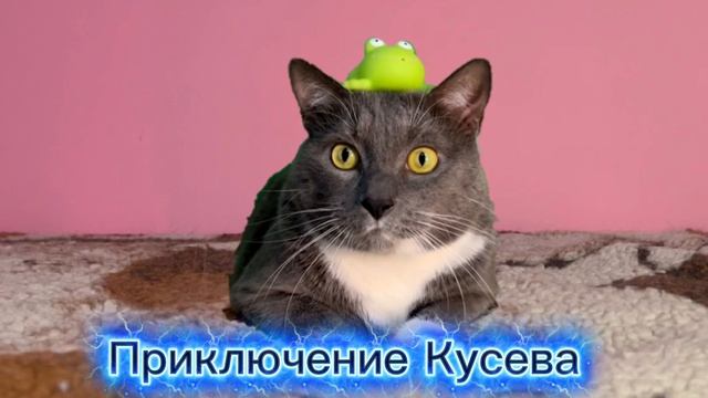 ЗАСТАВКИ ПРИКЛЮЧЕНИИ КУСЕВА