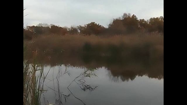ОТ СЕРГЕЯ