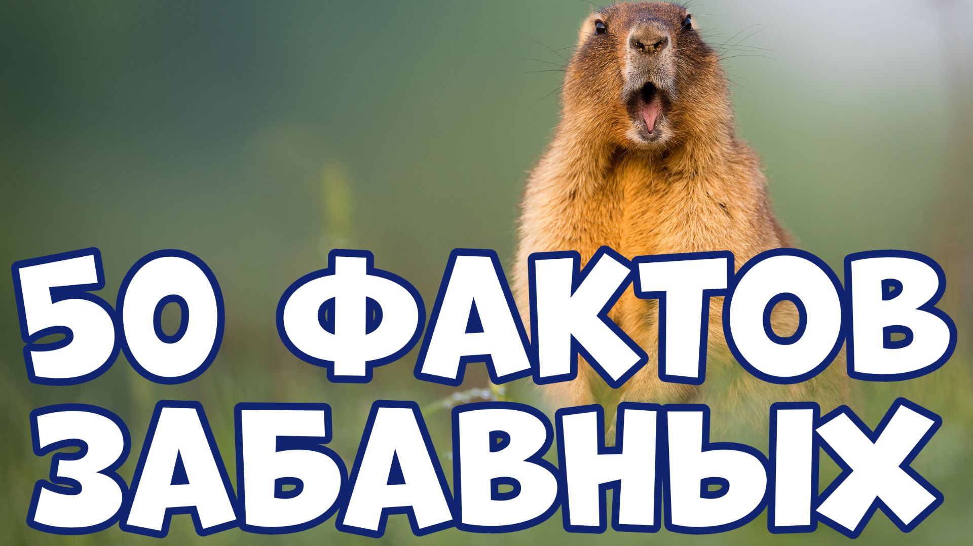 ИНТЕРЕСНЫЕ ФАКТЫ