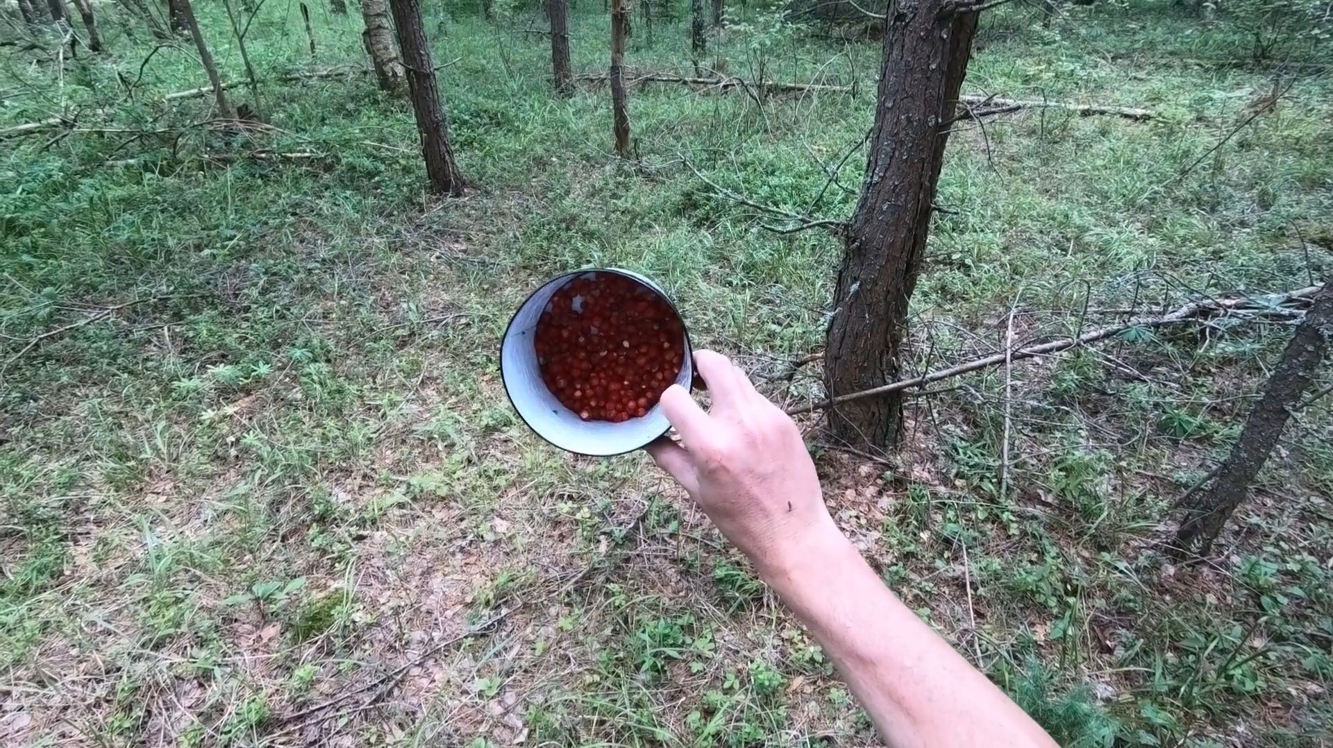 За ягодами