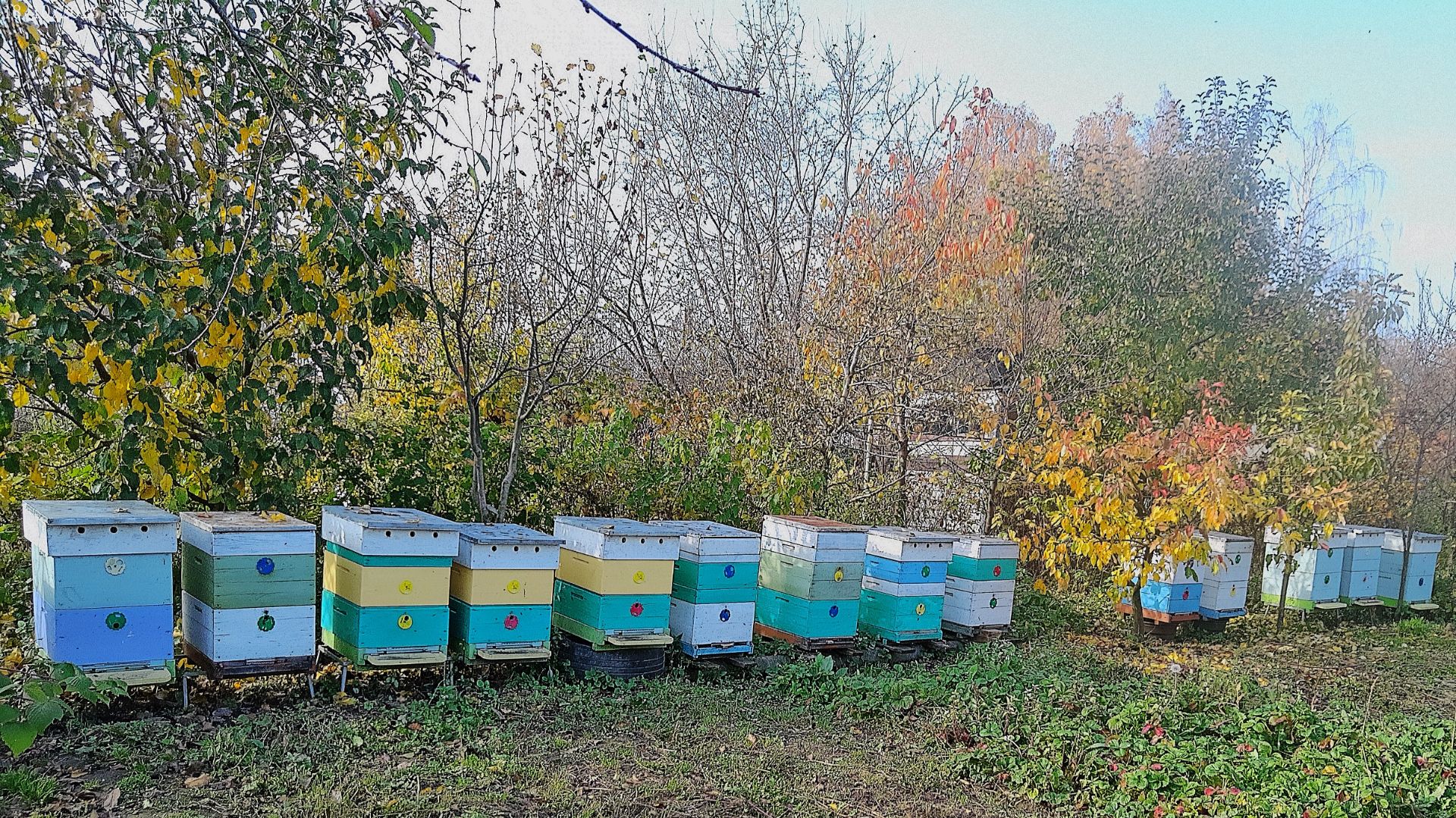 Осень