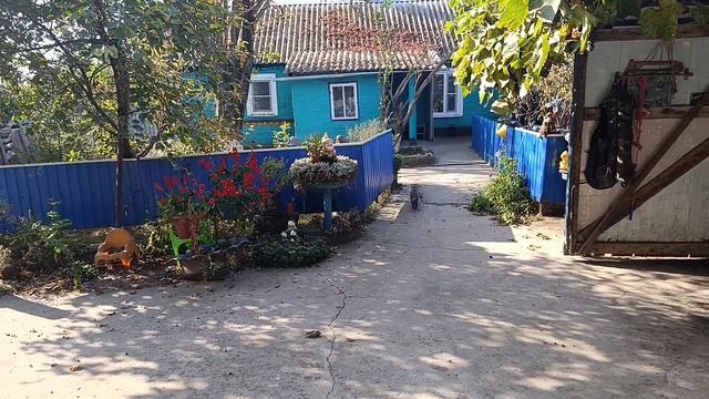 Влоги и вязание