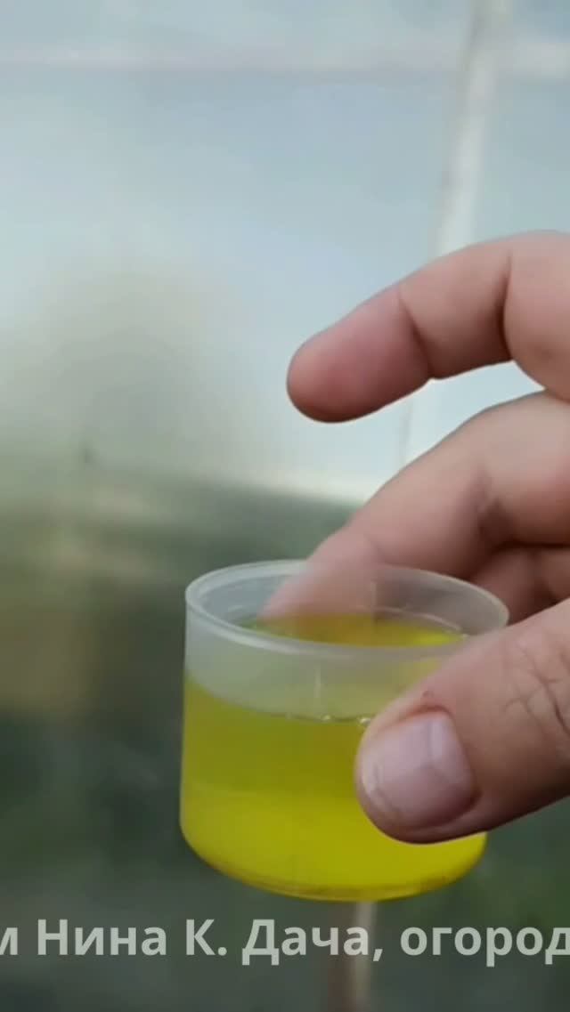 САД И ОГОРОД