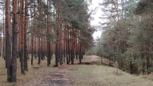 Дела рутубные