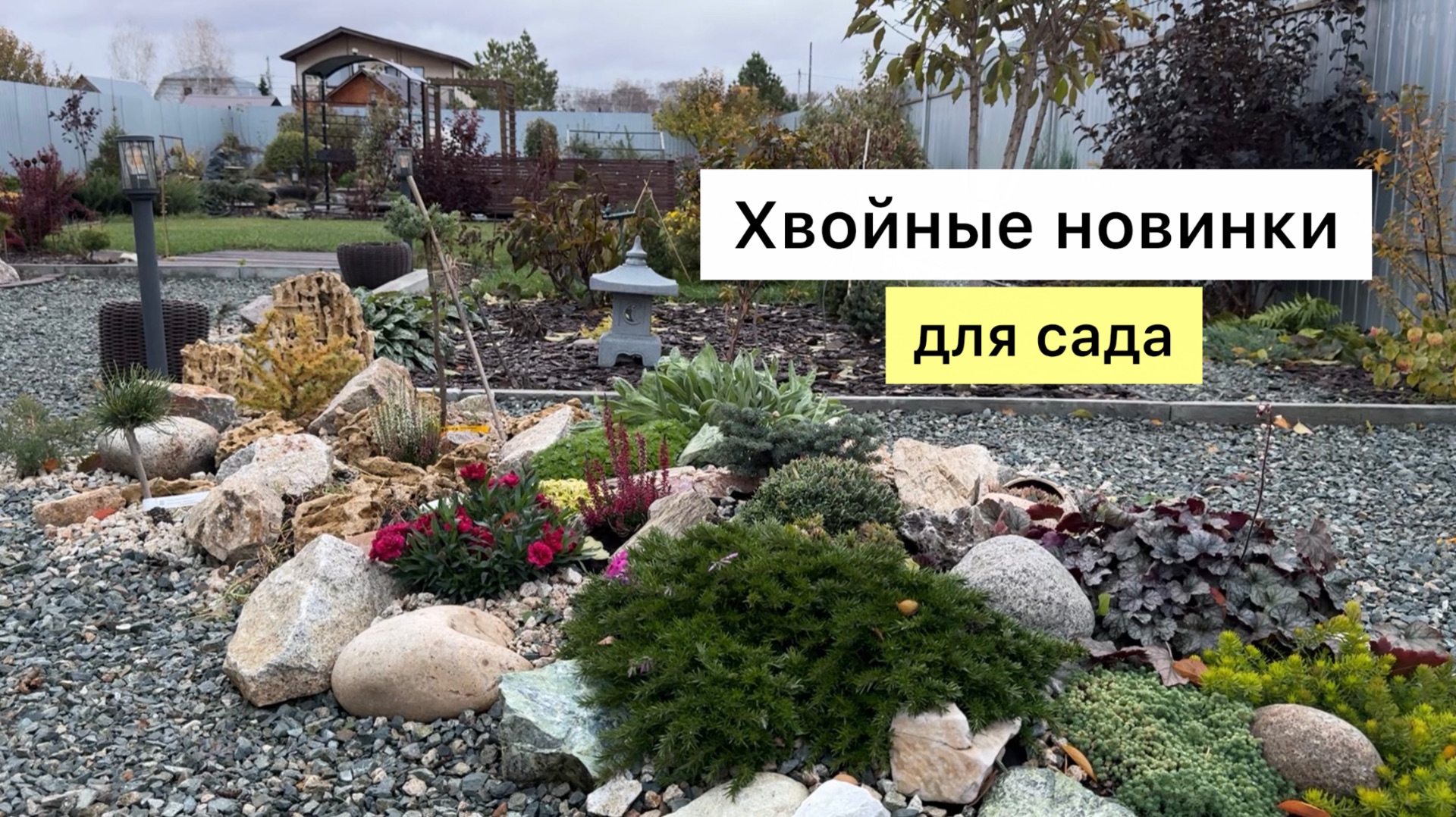 Рабочий влог