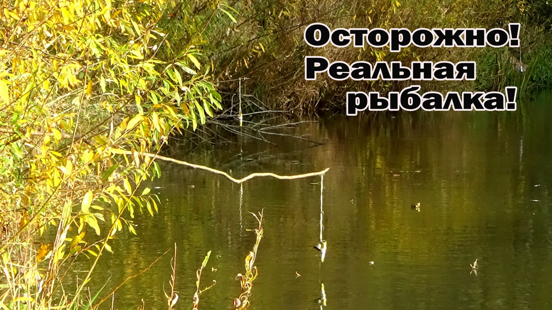 Попробовать поймать 100 щук в октябре
