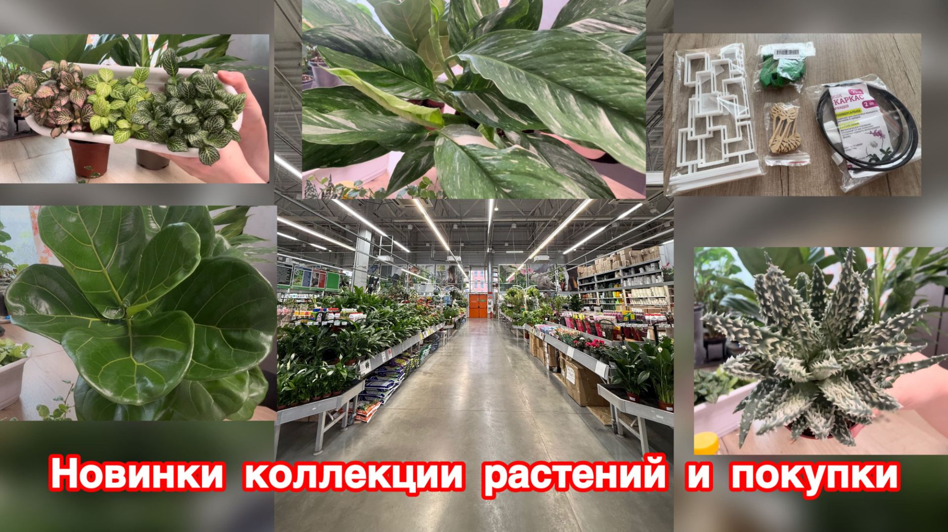 Интуитивный садовод 🍀